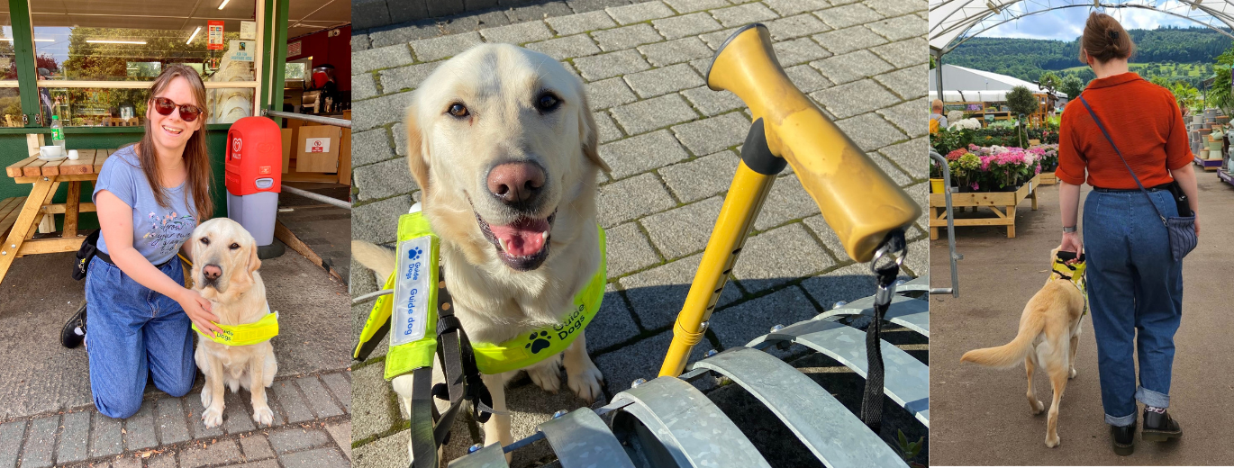 The process of getting my first guide dog - International Assistance ...