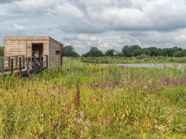 AccessAble - Your Accessibility Guide