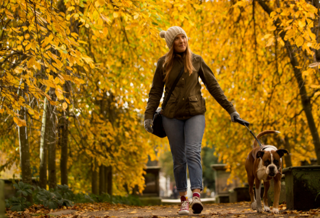 AccessAble - Your Accessibility Guide